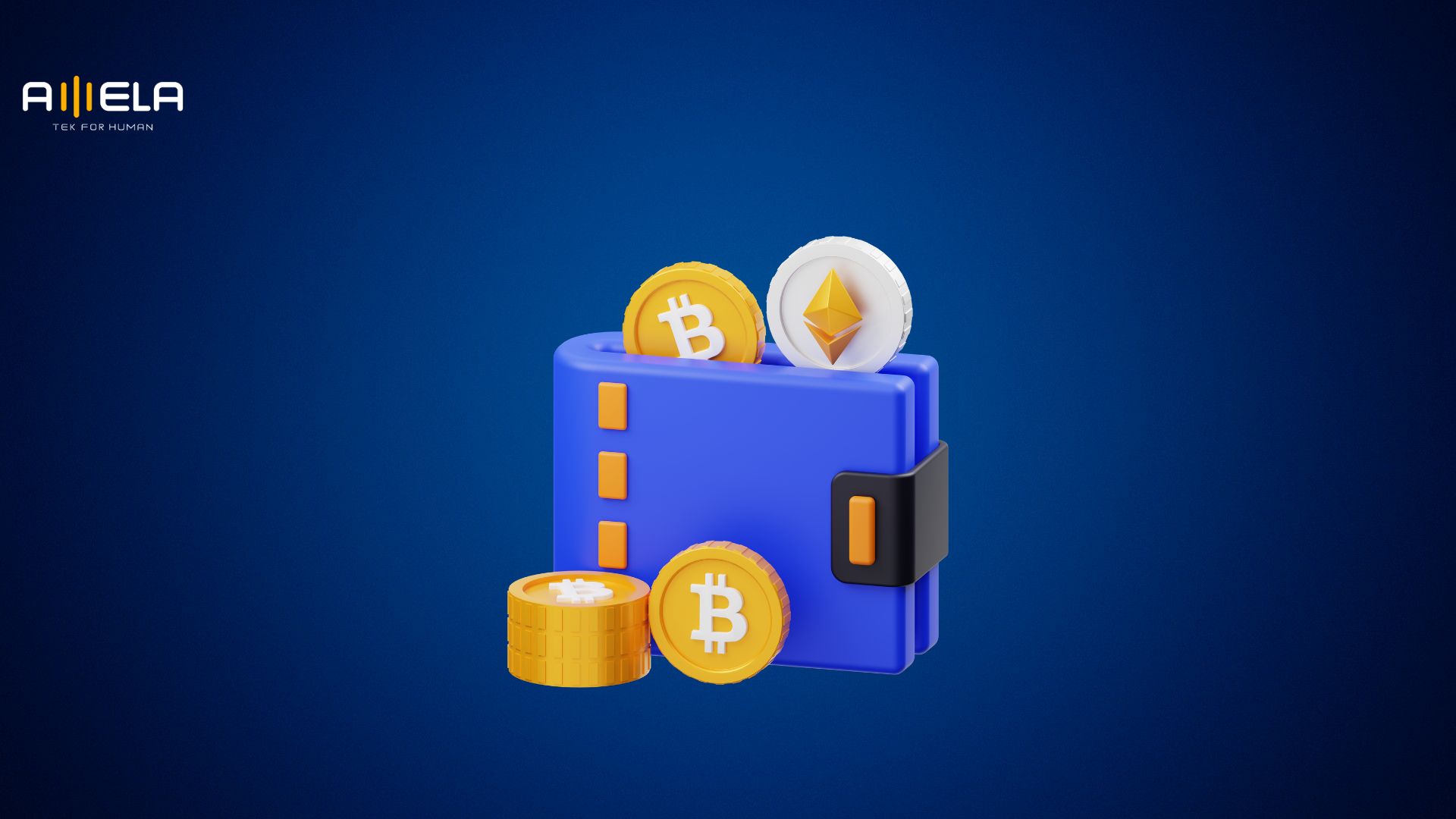 How to Build a Crypto Wallet? Step by Step Guide